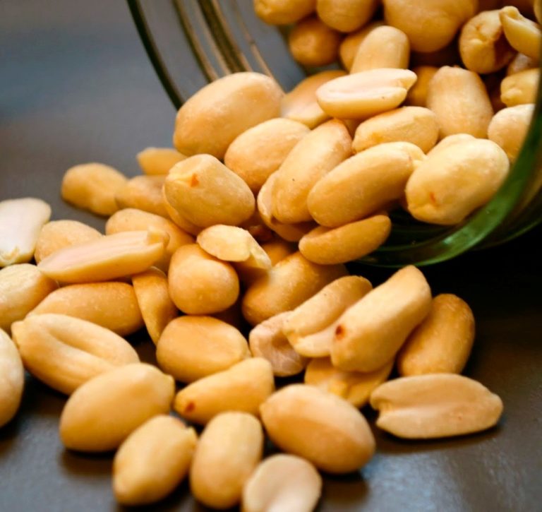 Maní tostado sin sal – Comfrutti