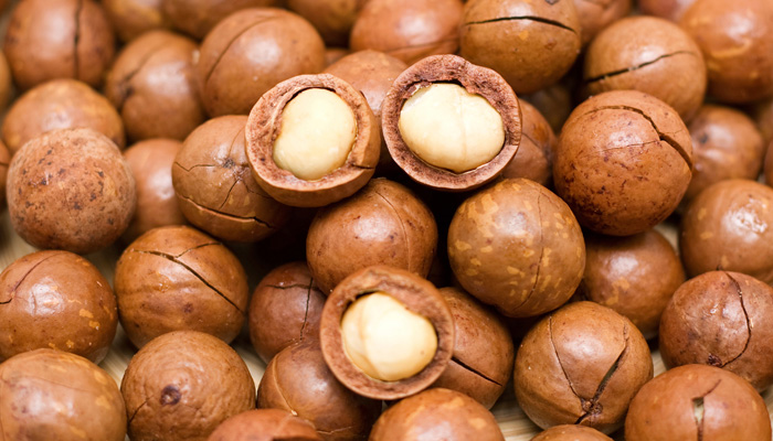 Nuez de Macadamia – Con cáscara (Importado) – Comfrutti