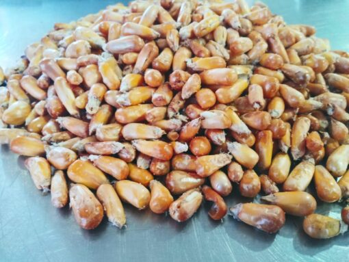 Maiz tostado Chullpi Salado x 500 gr - Comfrutti